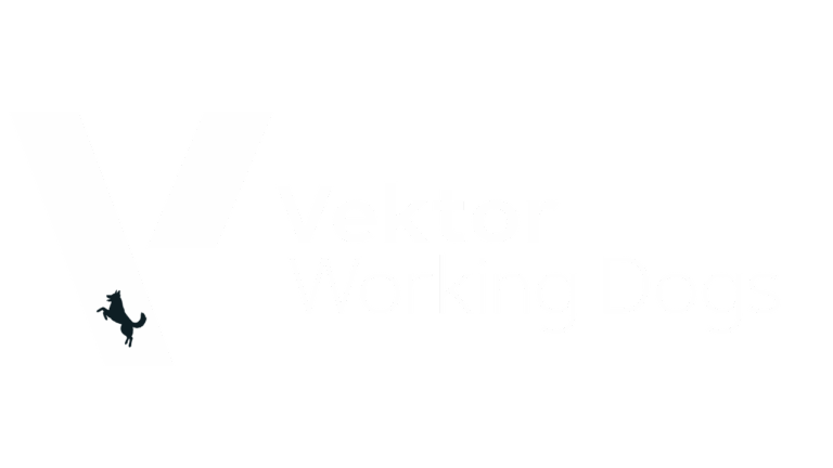 5 Foundations Of Proprioception In Dogs - Vektor Working Dogs