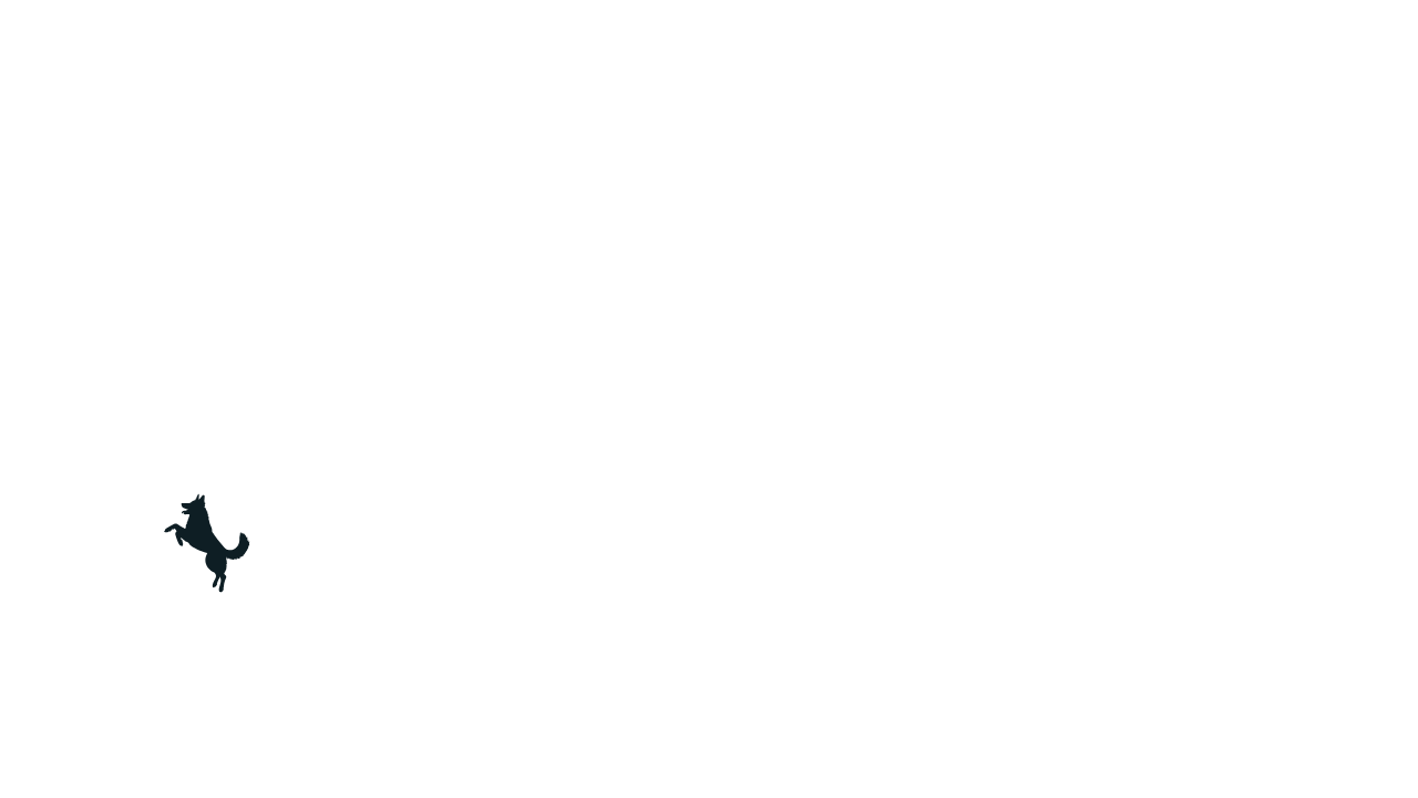 5 Foundations Of Proprioception In Dogs - Vektor Working Dogs